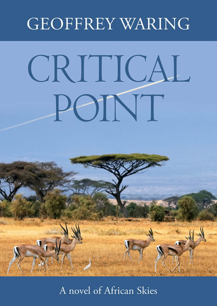 Critical Point The CopyPress